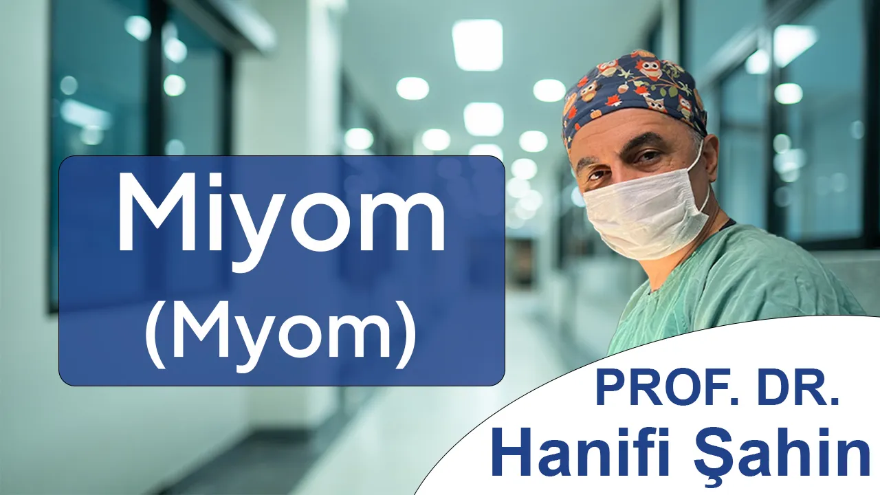 Miyom Nedir? Kadın Sağlığına Etkileri ve Tedavi Seçenekleri - Miyom ...